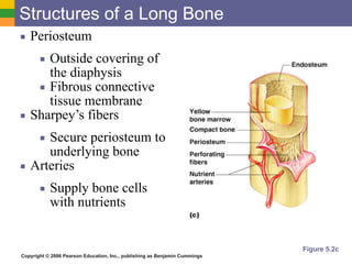 Skeletal-System-Part-A-Student-Version.pdf
