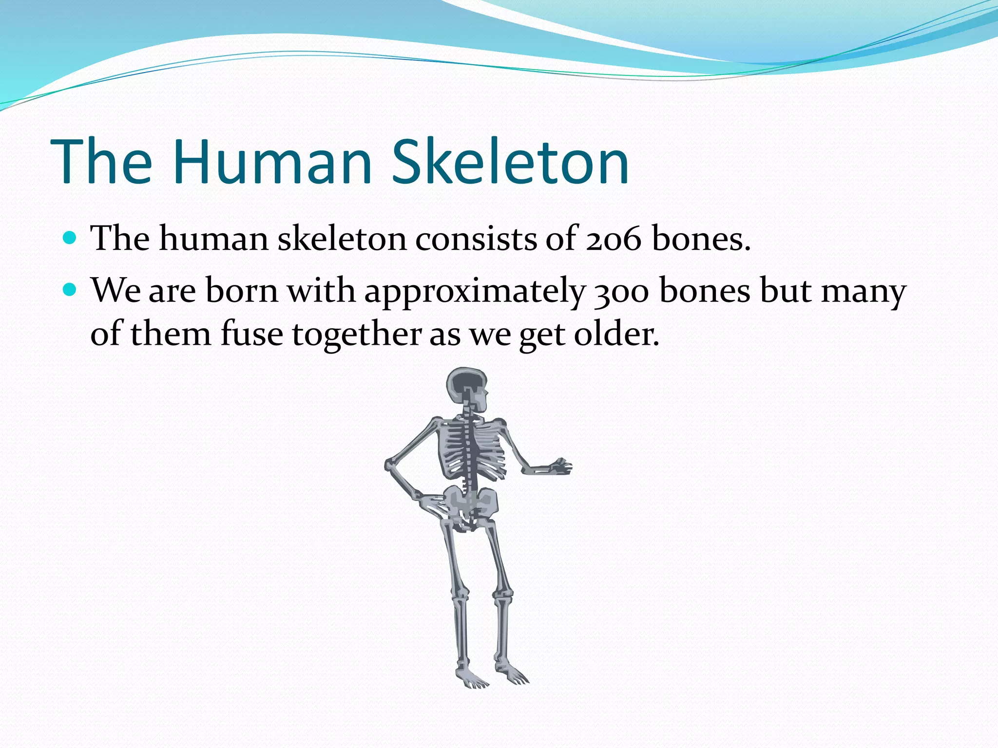Dem Bones! | PPTX | Bone and Joint Conditions | Diseases and Conditions