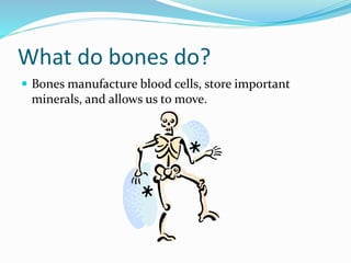 Dem Bones! | PPTX