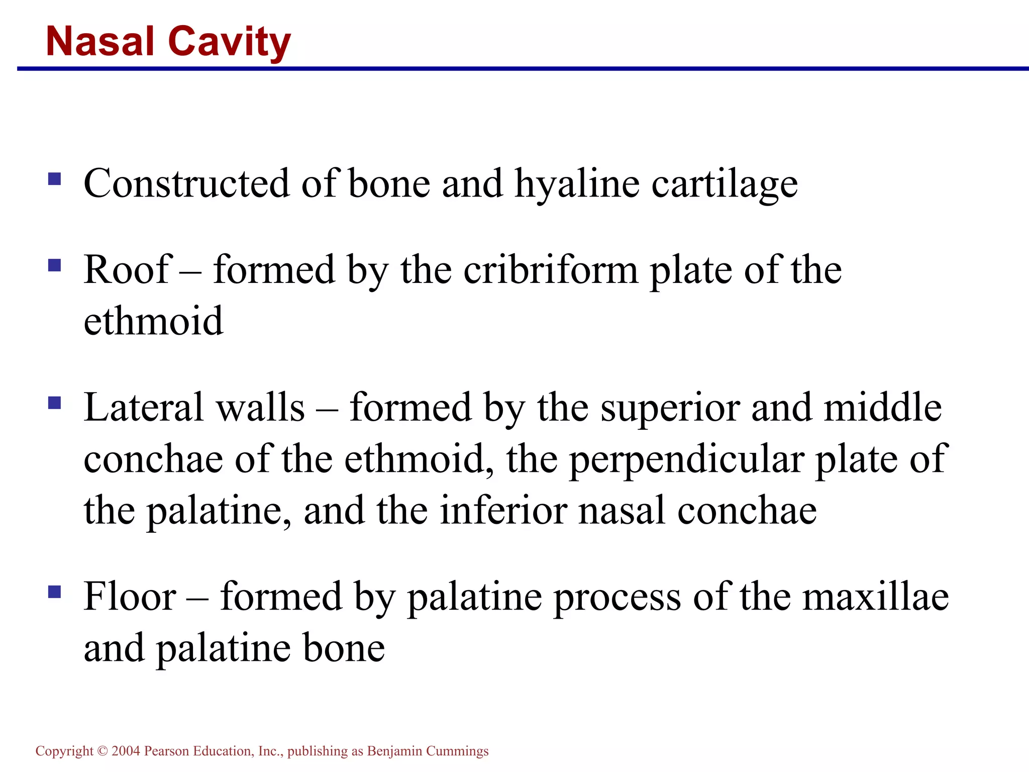 Skeletal anatomy part 1 | PPT