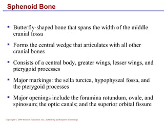 Skeletal anatomy part 1 | PPT