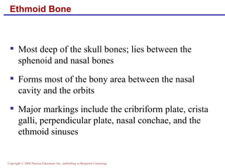 Skeletal anatomy part 1 | PPT