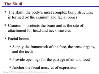Skeletal anatomy part 1 | PPT