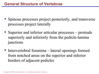 Skeletal anatomy part 1 | PPT