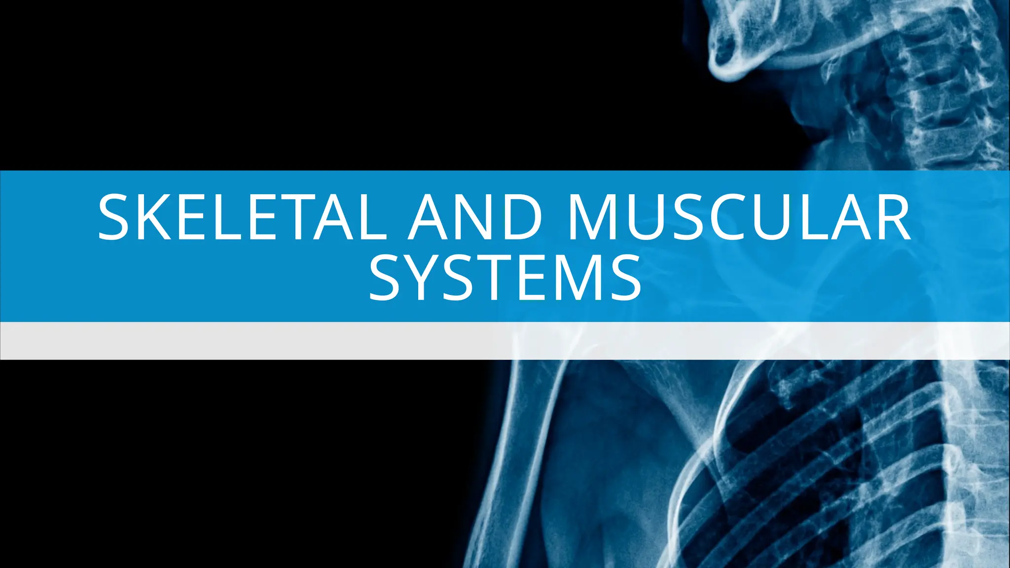 Skeletal and Muscular System in the human body.pptx