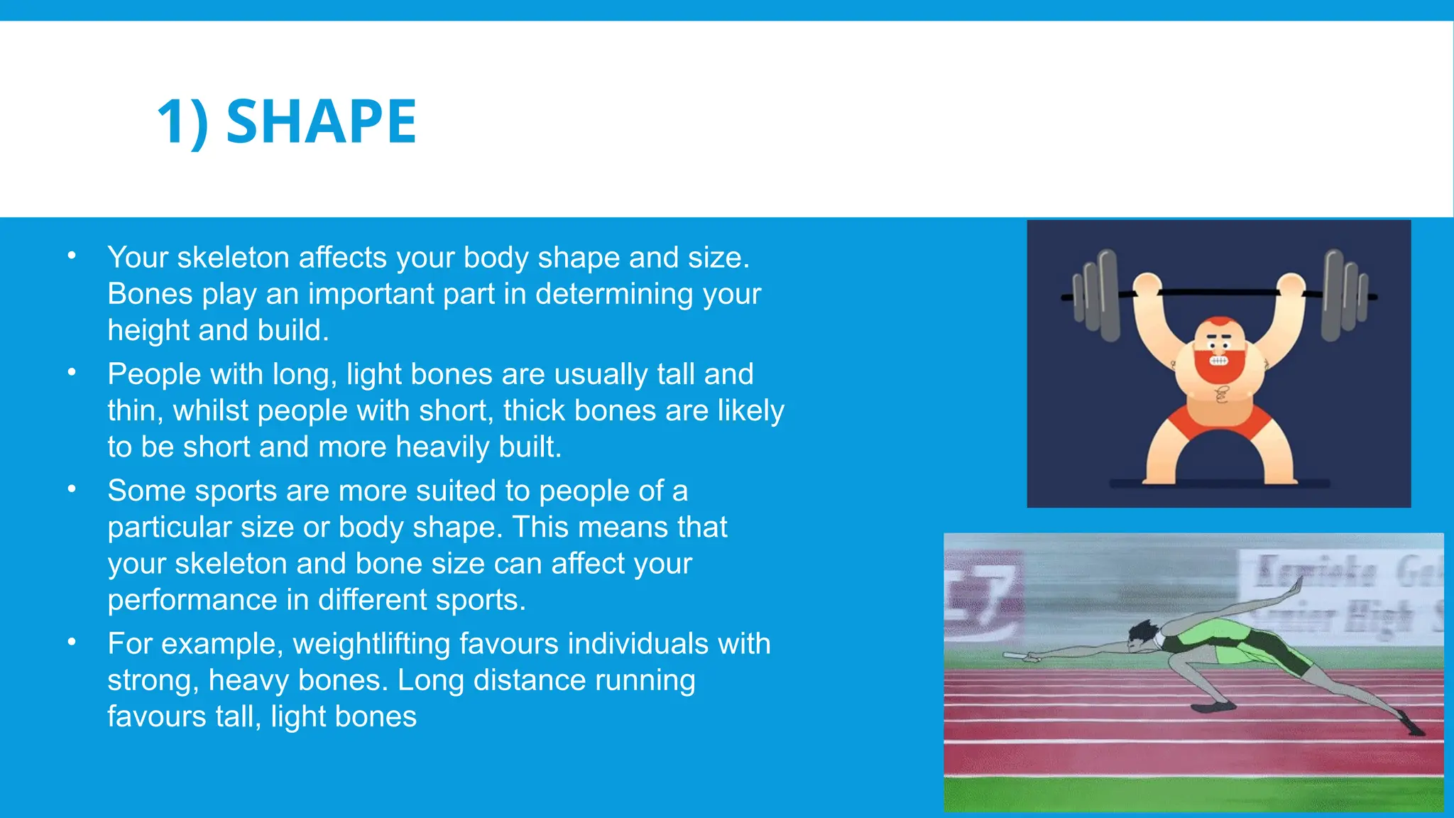 Skeletal and Muscular System in the human body.pptx