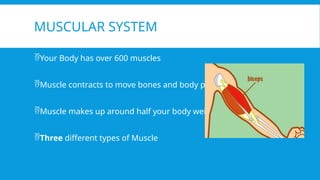Skeletal and Muscular System in the human body.pptx