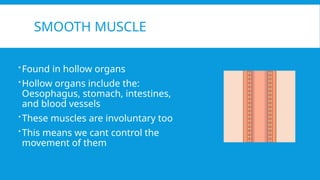 Skeletal and Muscular System in the human body.pptx