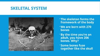 Skeletal and Muscular System in the human body.pptx