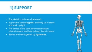Skeletal and Muscular System in the human body.pptx