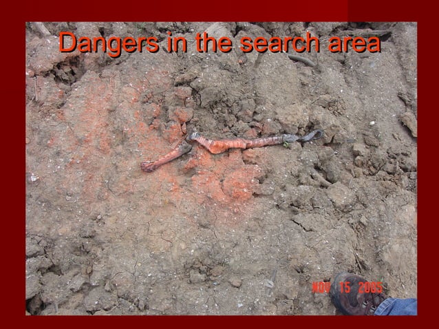 Skeletal death investigation | PPT