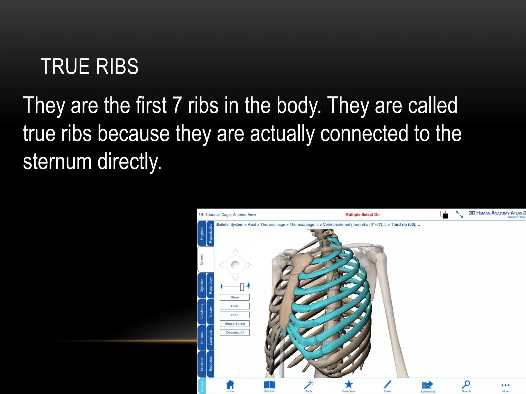 Skeletal disection ppt | PPT
