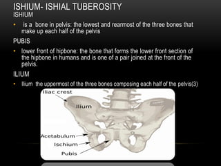 Skeletal disection ppt | PPT