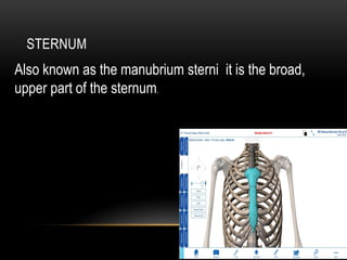 Skeletal disection ppt | PPT