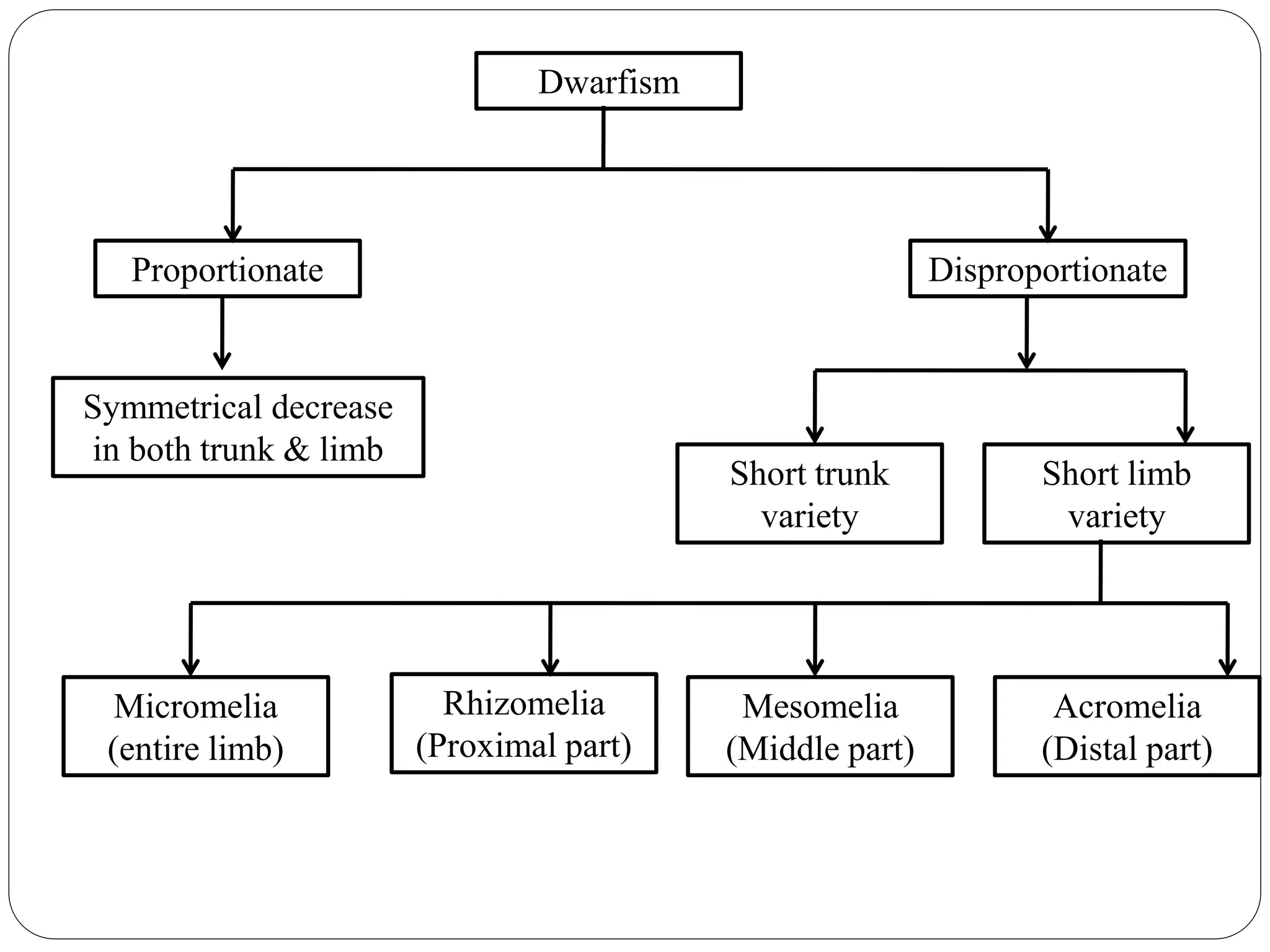Skeletal dysplasia final | PPTX