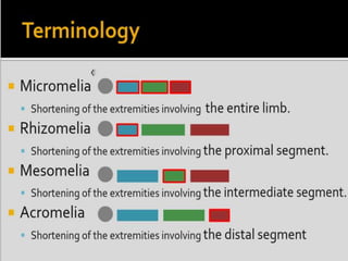 Acromelia