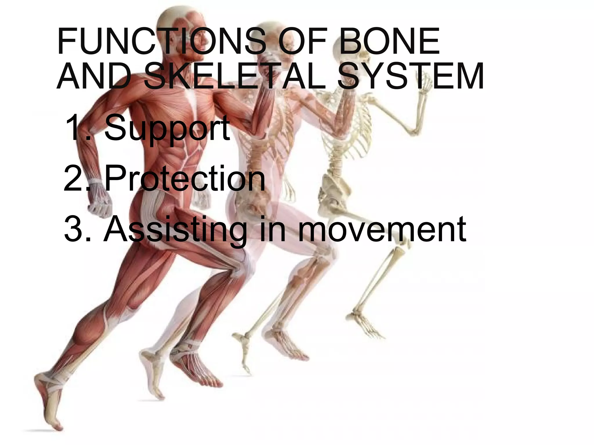 Skeletal, joint, muscle systems | PPT