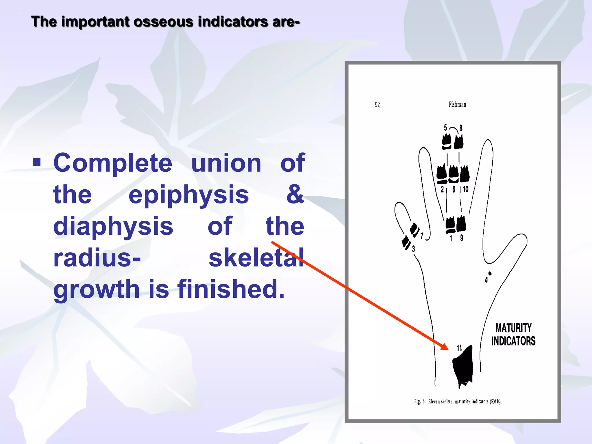 Skeletal maturity.ppt