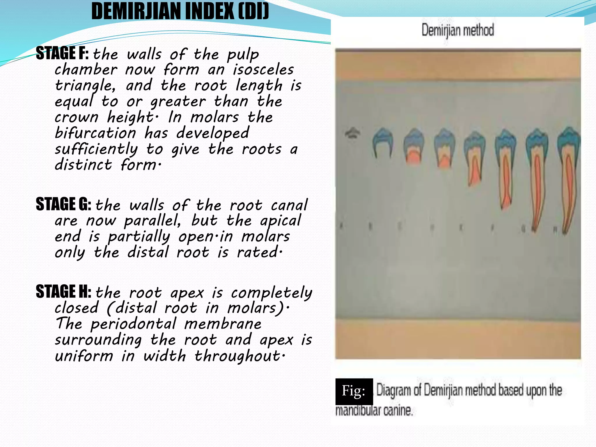 Skeletal maturity index | PPTX