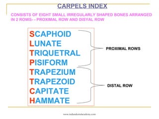 Skeletal maturity indicator (2) | PPT