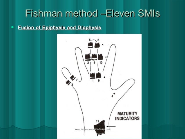 Skeletal maturity indicators
