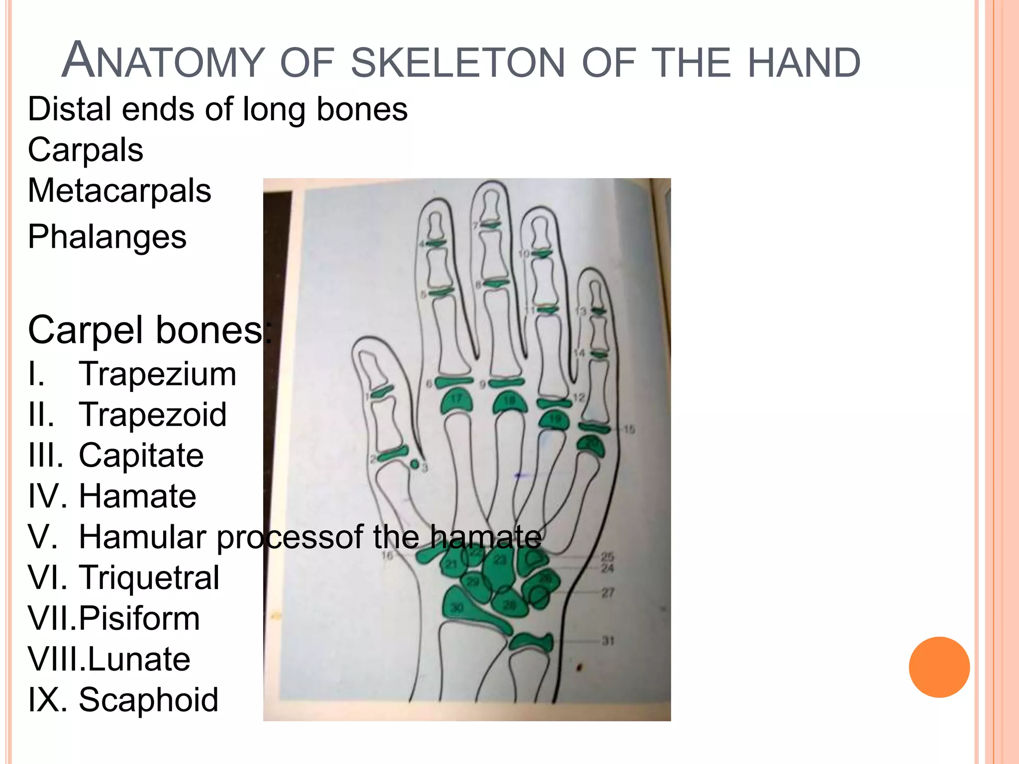 Skeletal maturity indicators | PPTX