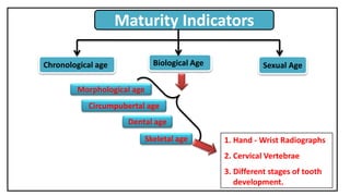 Skeletal maturity indicator short | PPTX
