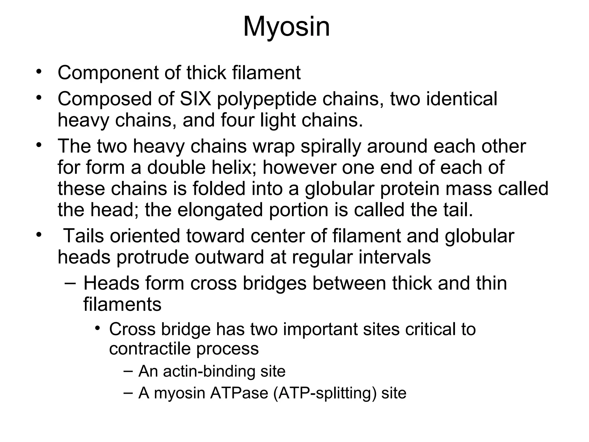 Skeletal Muscle Physiology Basics | PPT