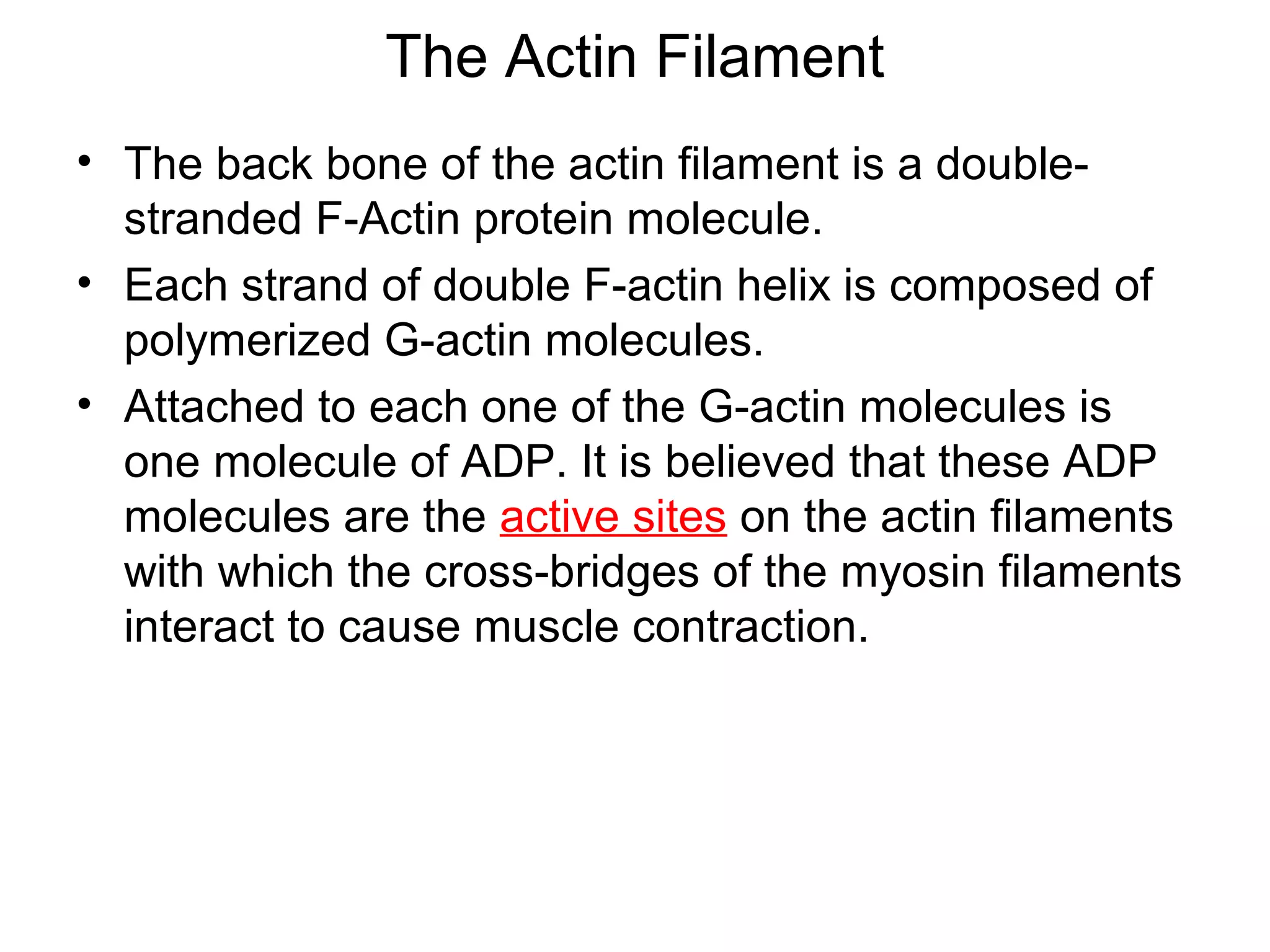 Skeletal Muscle Physiology Basics | PPT