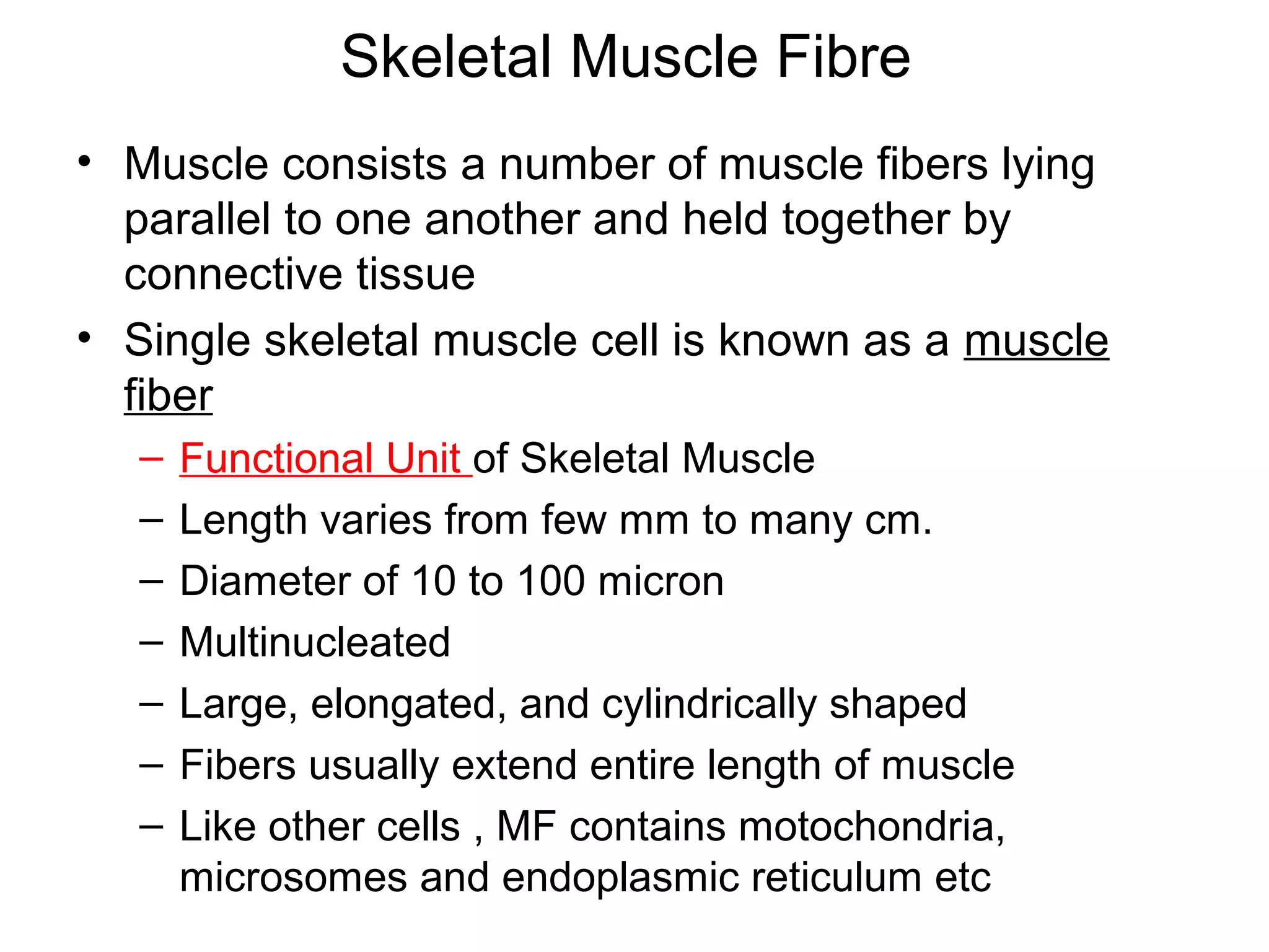 Skeletal Muscle Physiology Basics | PPT