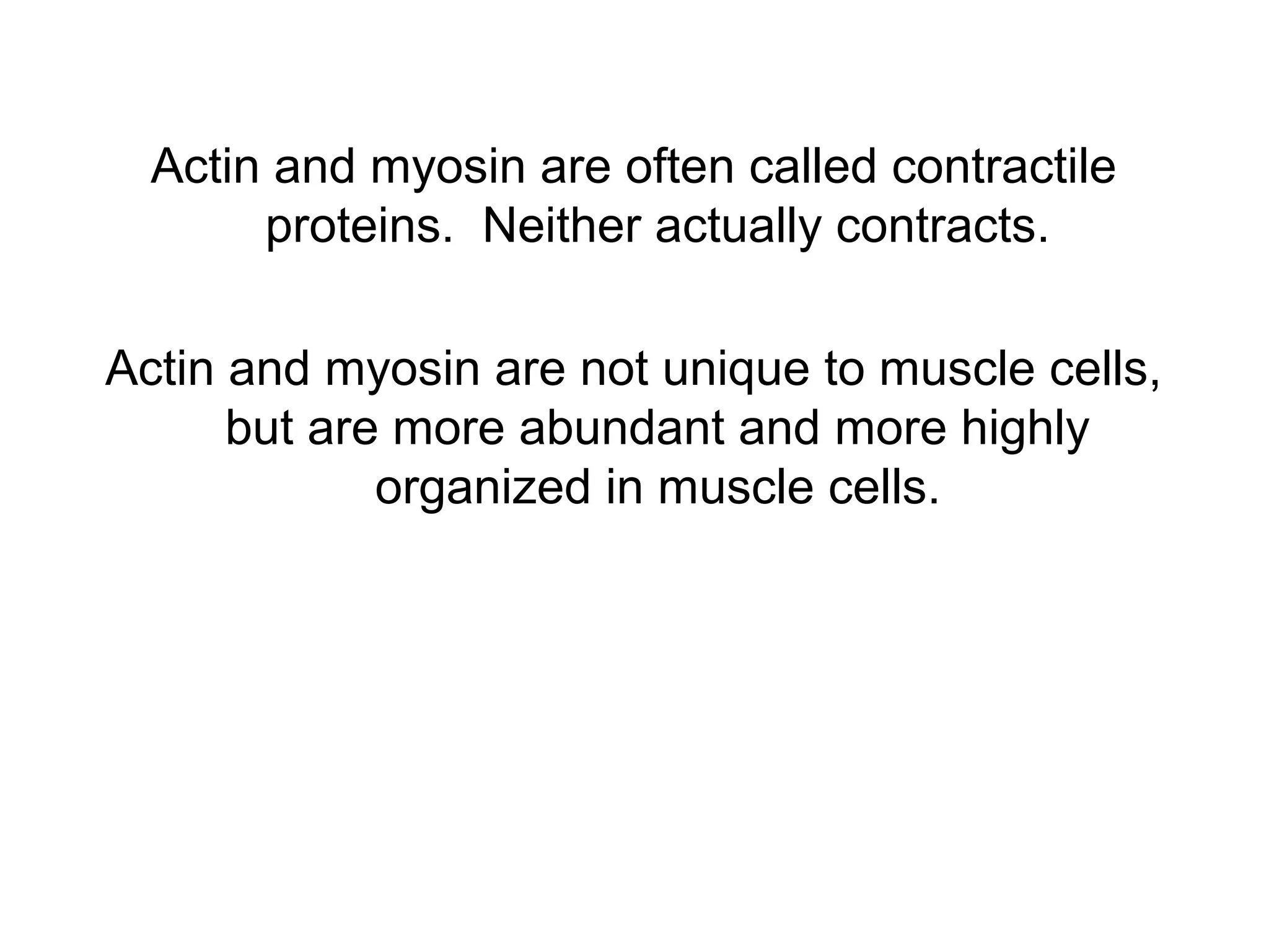 Skeletal Muscle Physiology Basics | PPT