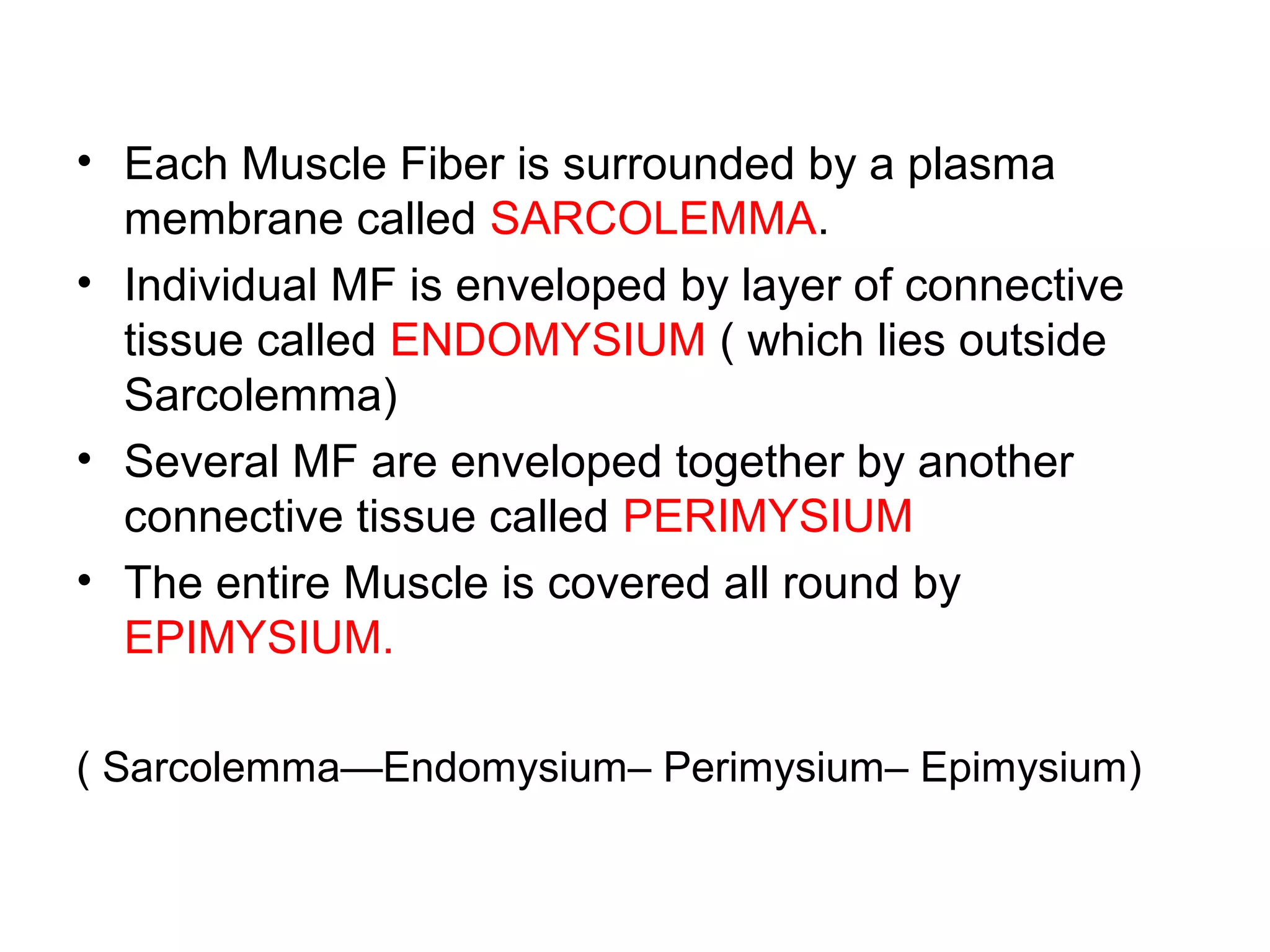 Skeletal Muscle Physiology Basics | PPT