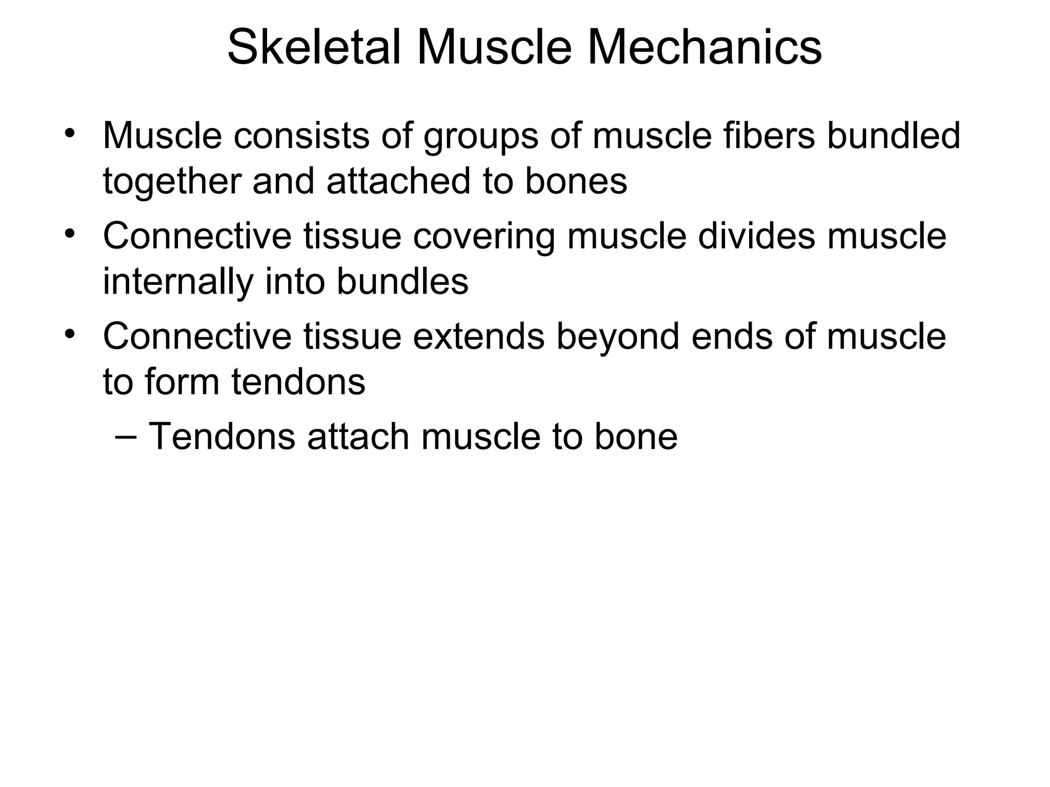 Skeletal Muscle Physiology Basics | PPT