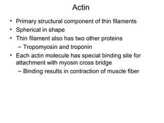 Skeletal Muscle Physiology Basics | PPT