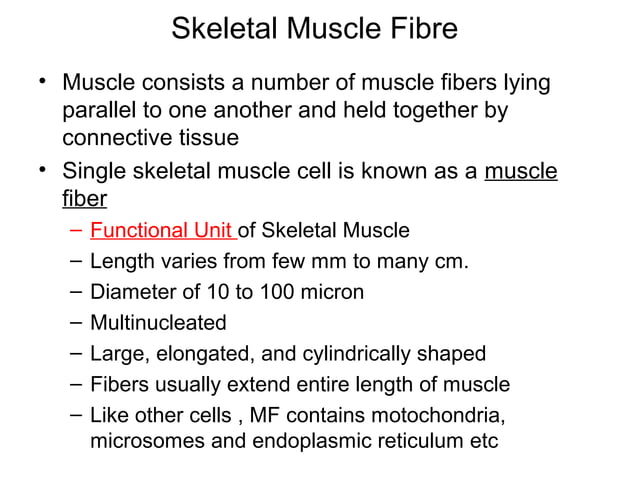 Skeletal Muscle Physiology Basics | PPT