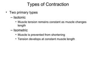 Skeletal Muscle Physiology Basics | PPT