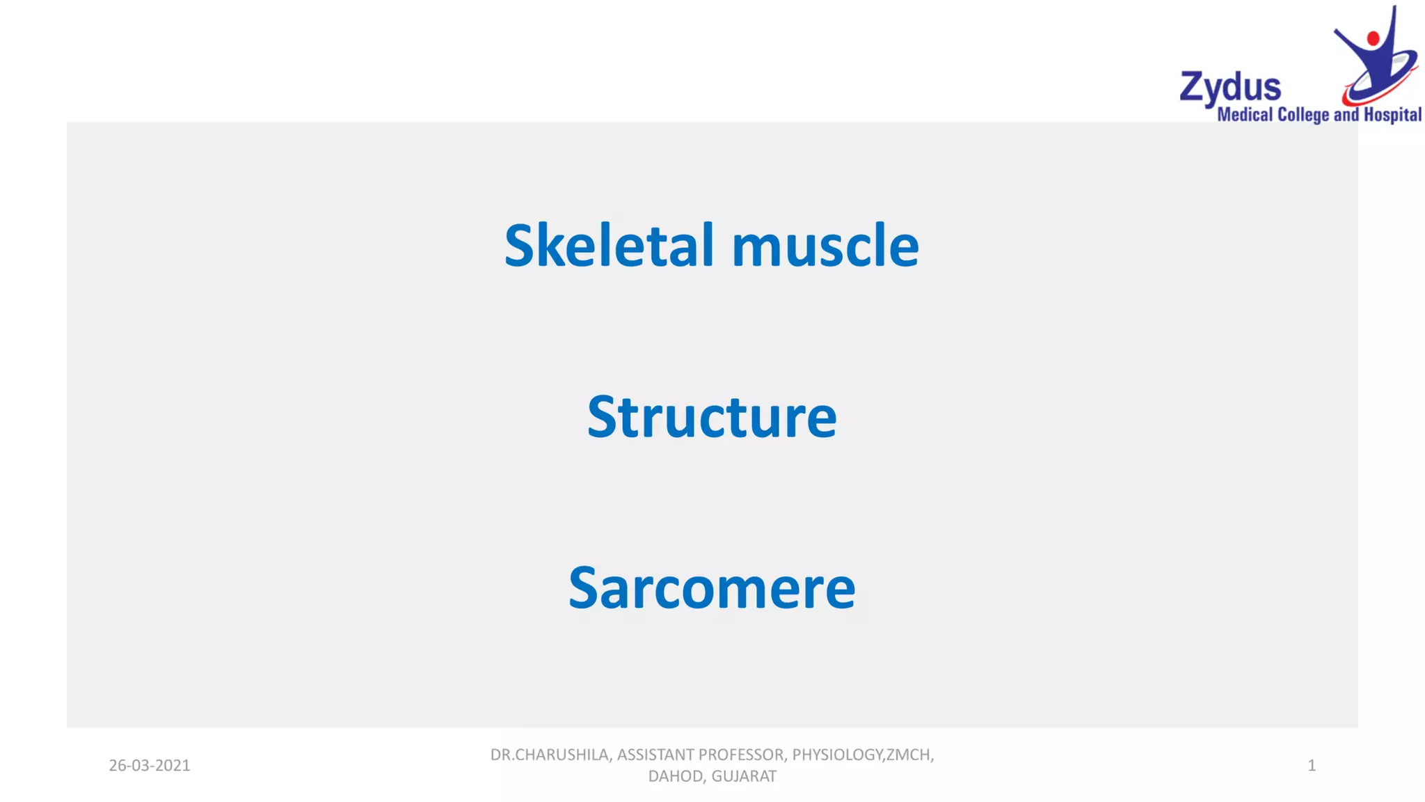 Skeletal muscle | PPT