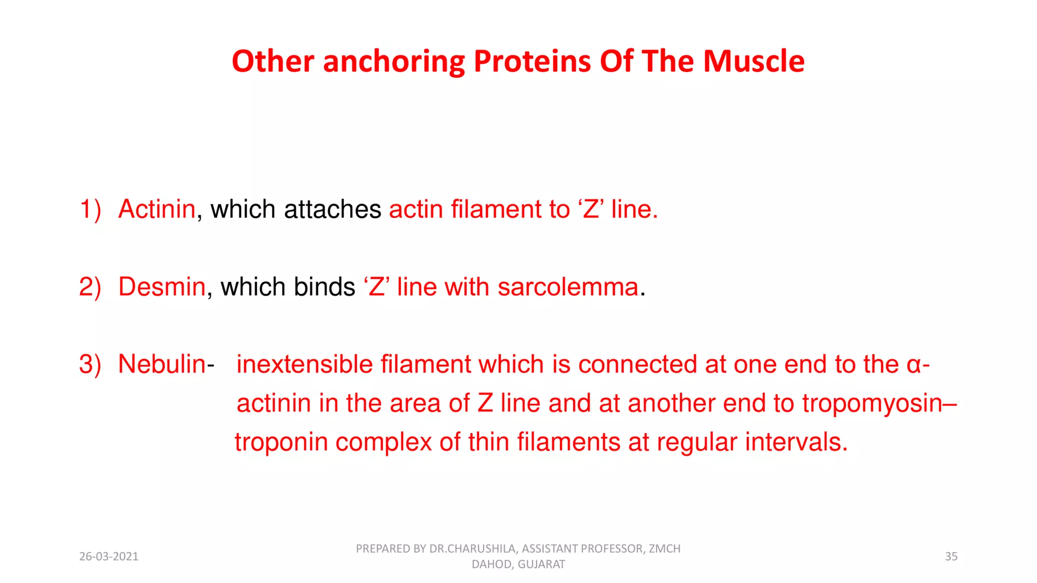 Skeletal muscle | PDF