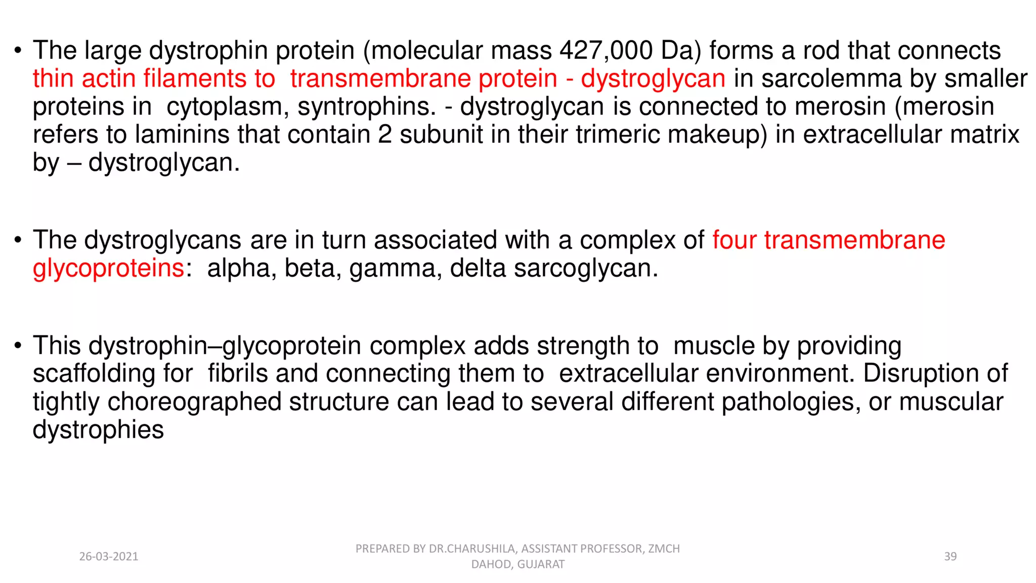Skeletal muscle | PDF