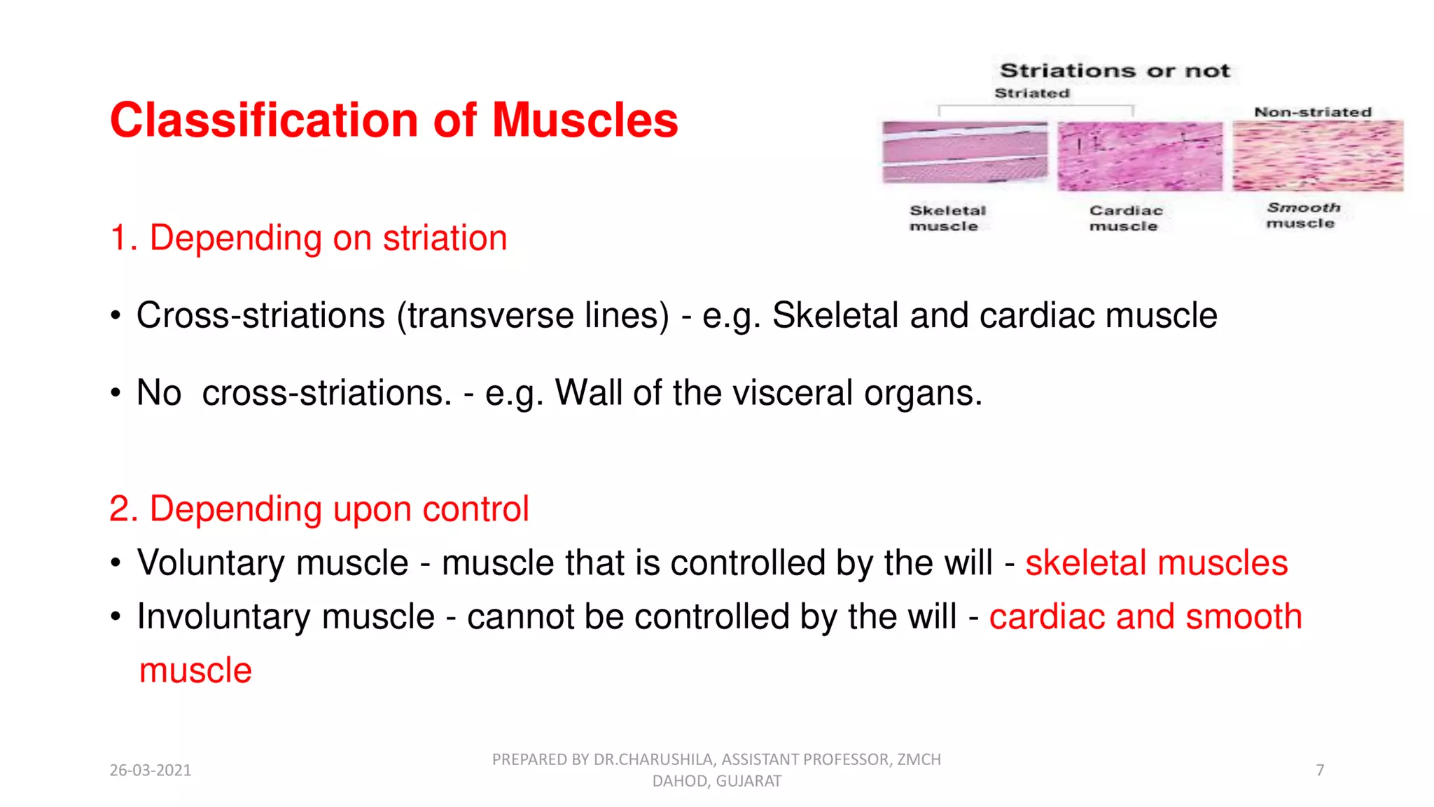 Skeletal muscle | PDF