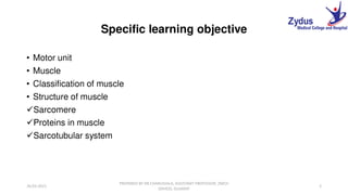 Skeletal Muscle Ppt