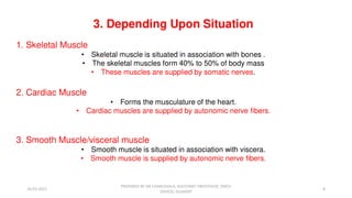 Skeletal Muscle Ppt