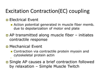 skeletal muscle.pptx