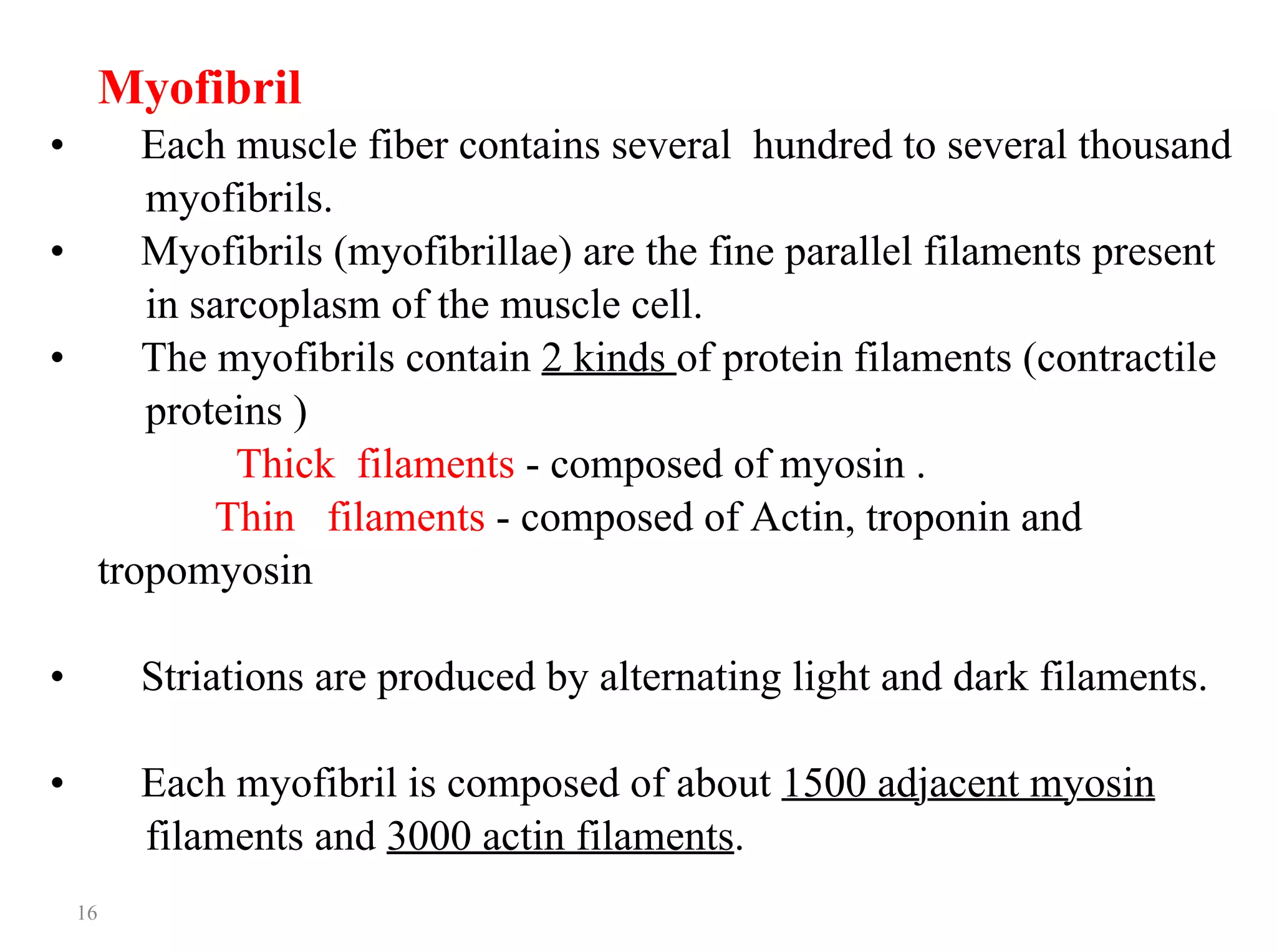 skeletal muscle.pdf