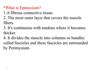 skeletal muscle.pdf