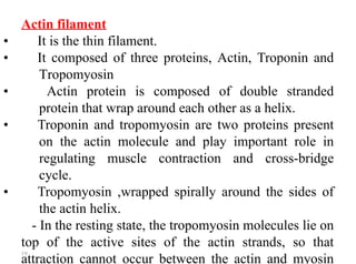 skeletal muscle.pdf