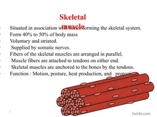 skeletal muscle.pdf