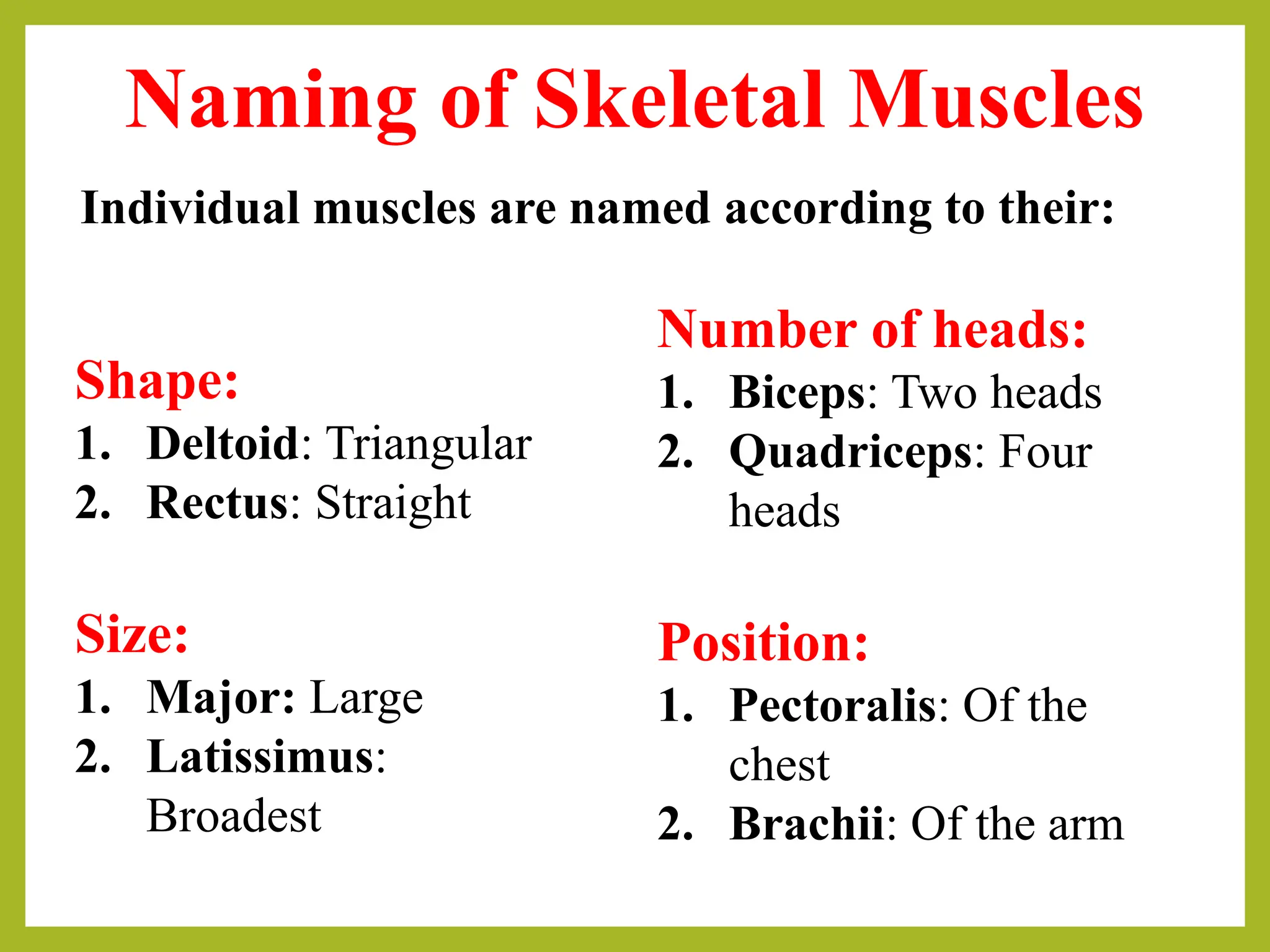 skeletal musclemicroemulsions microemulsions microemulsions ...