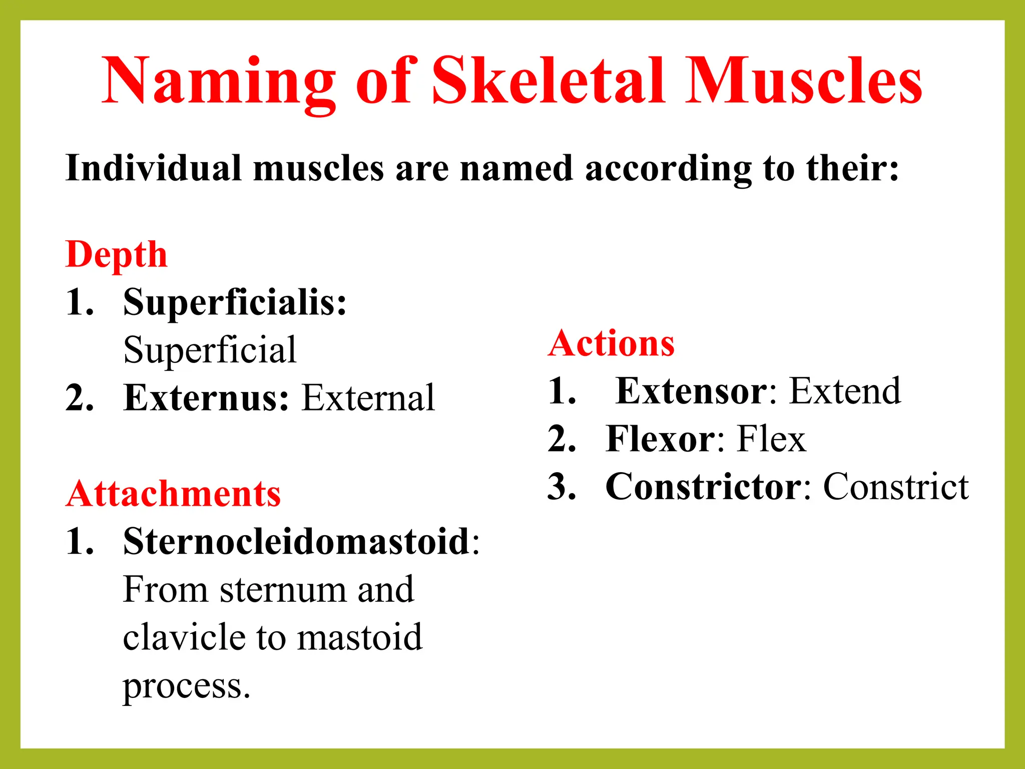 skeletal musclemicroemulsions microemulsions microemulsions ...