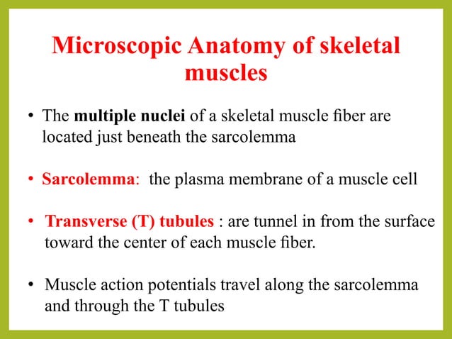 skeletal musclemicroemulsions microemulsions microemulsions ...